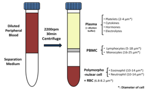Peripheral Blood Mononuclear Cells (PBMC) - FLOW CONTRACT SITE