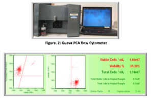 Peripheral Blood Mononuclear Cells (PBMC) - FLOW CONTRACT SITE