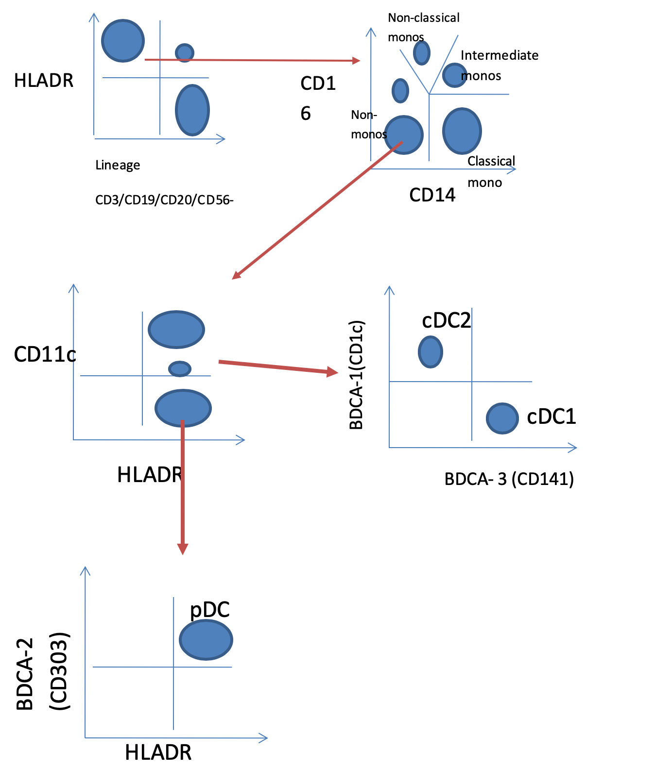 Using Flow Cytometry to Immunophenotype Dendritic Cells: Master ...