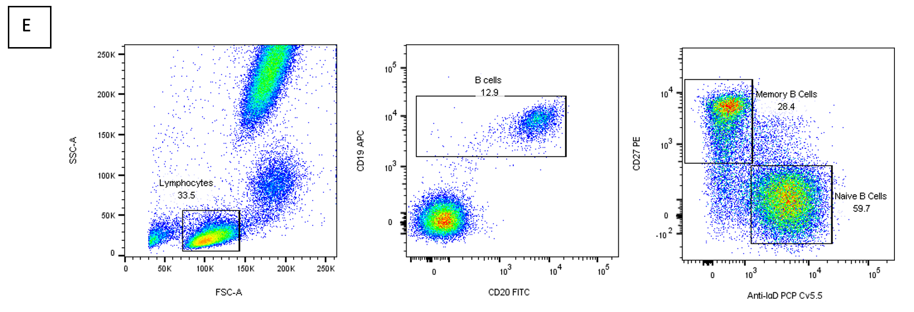 Immunophenotyping | Lymphocyte Subsets - Flow Contract Site