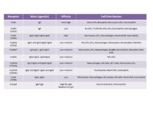 Fc Receptors (FcR) and their Relevance to Flow Cytometry - FLOW ...